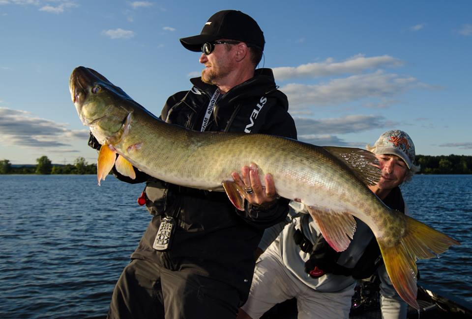 The Musky Factory on Fish’n Canada | Ottawa River Musky Factory