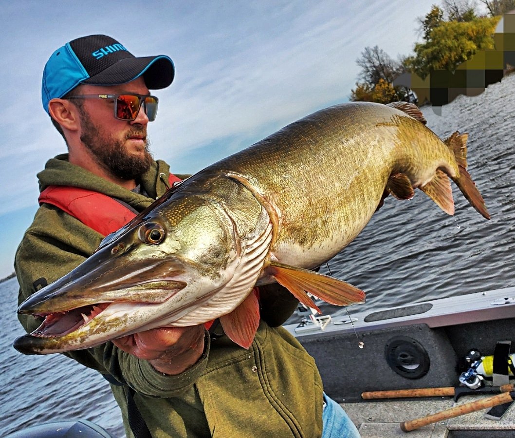 Ottawa River Musky Factory | Guided musky fishing on the Ottawa River.